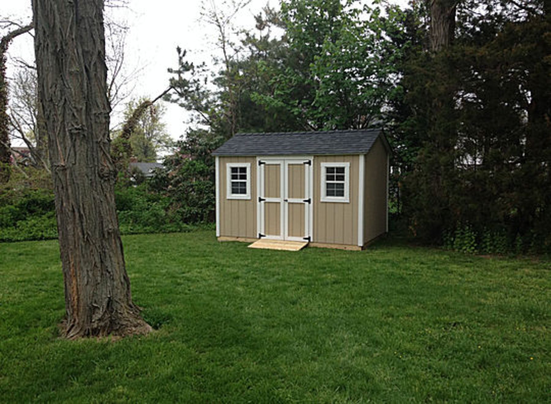 Features - Shed Monkeys